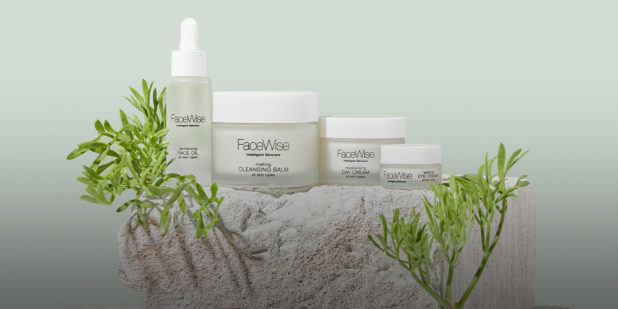 FaceWise - Intelligent Skincare – FaceWise Skincare
